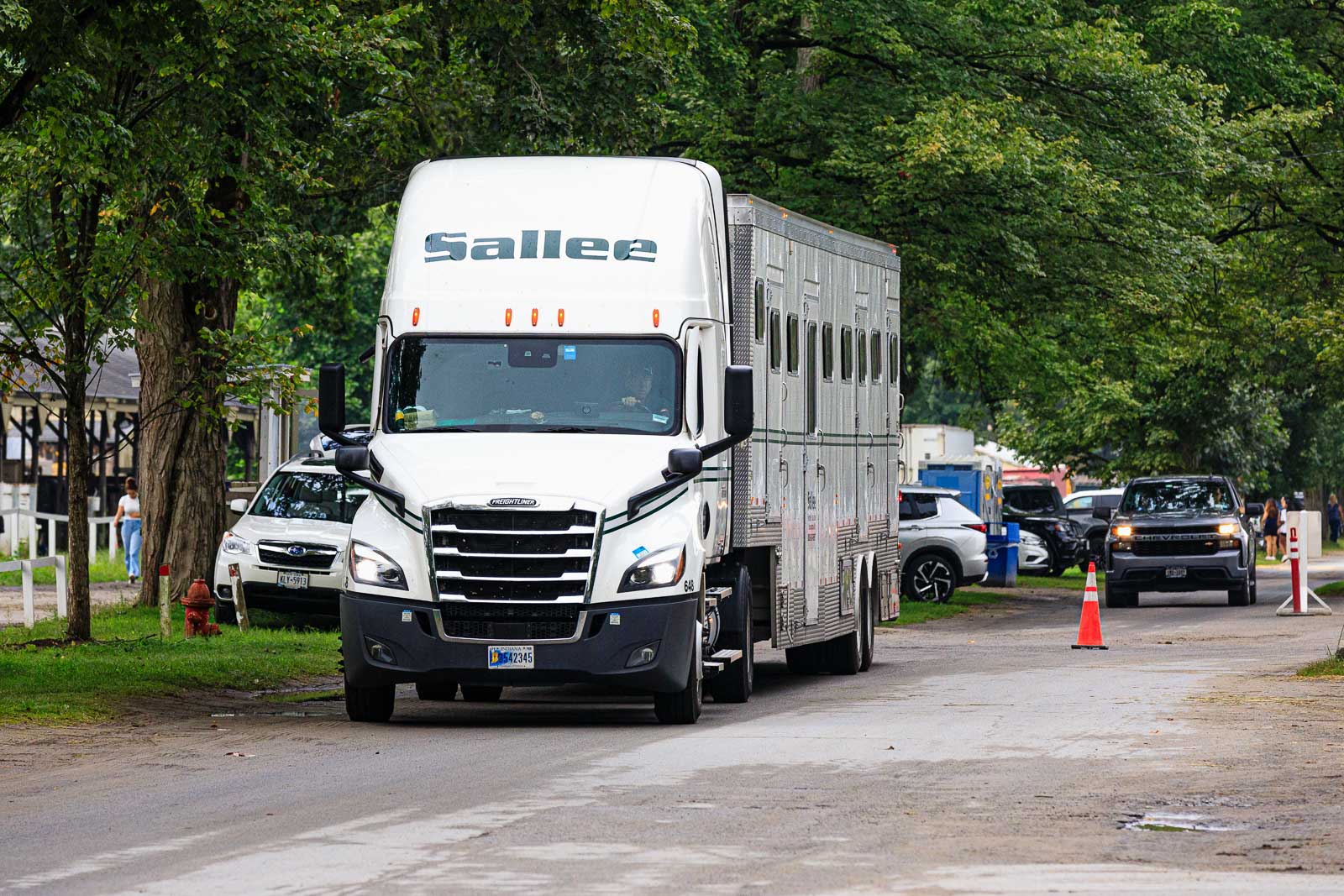Horses leaving Saratoga Race Track via Sallee